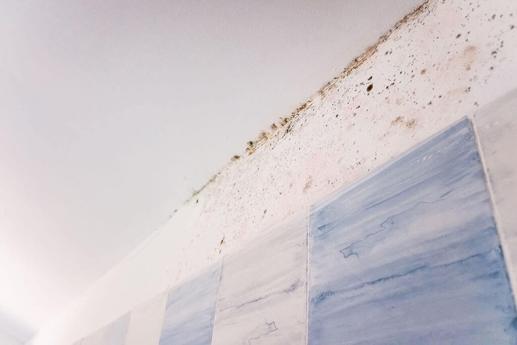 WHY are Bathroom Walls YELLOW/BROWN? • HOME.PRO REVIEWS